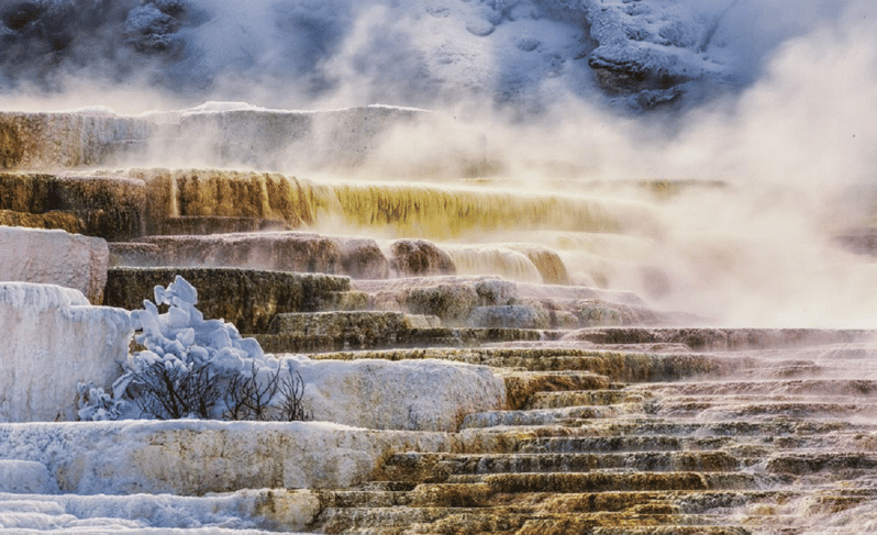 Salt Lake City: Yellowstone National Park 6-Day Tour | GetYourGuide