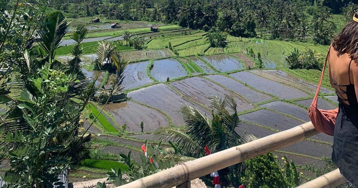 Bali : Temple de Besakih, rizière et cascade de Gembleng | GetYourGuide