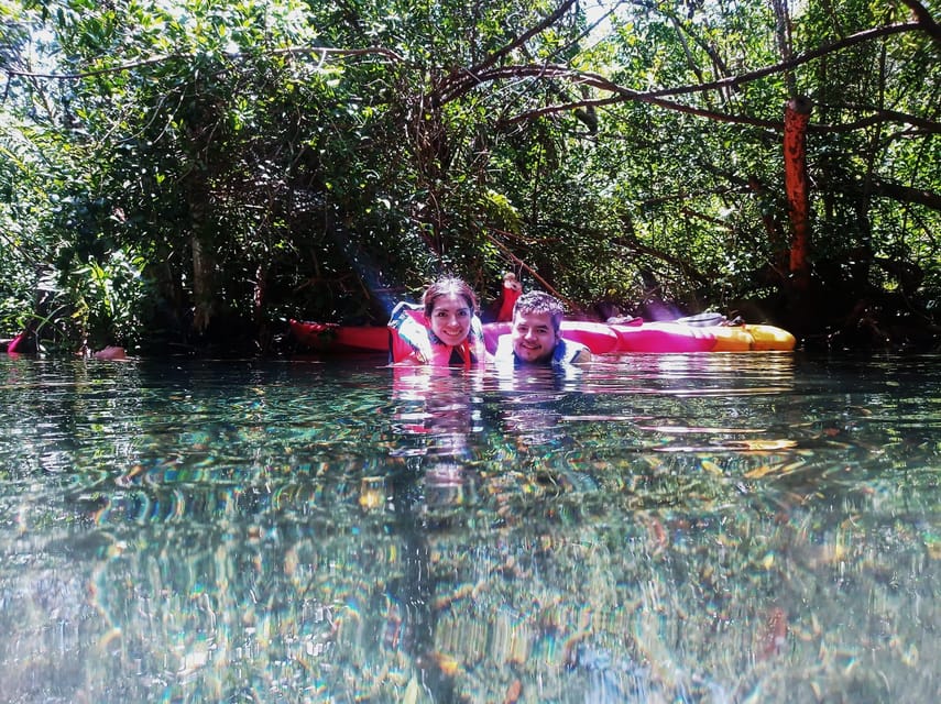 Merida: Sisal Kayak Through Mangroves and Bird Watching Tour | GetYourGuide