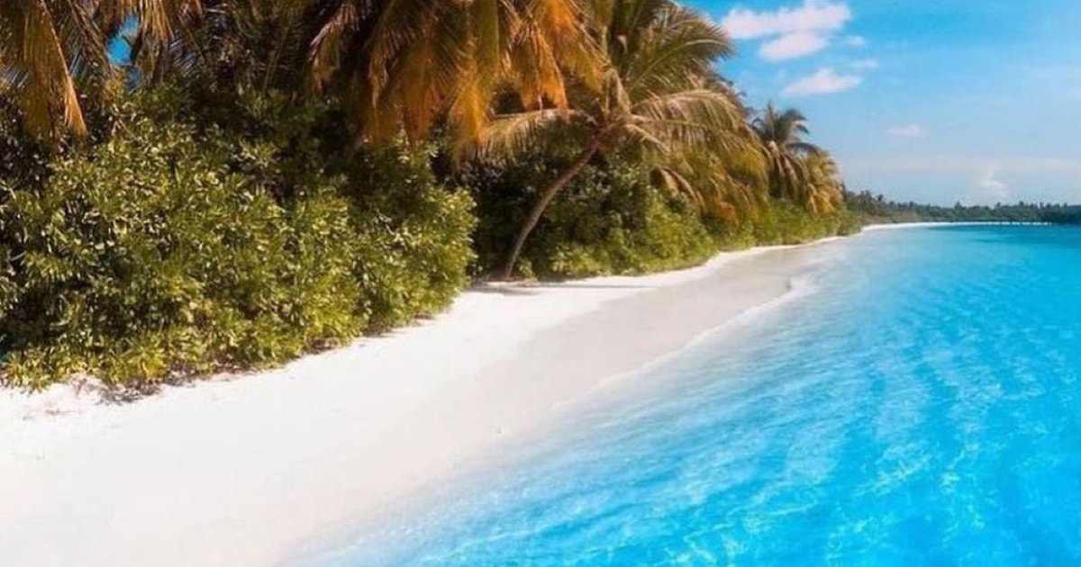 Kuza-Höhle, Jozani-Wald, Erlebnis Mittagspause, Stone Town | GetYourGuide