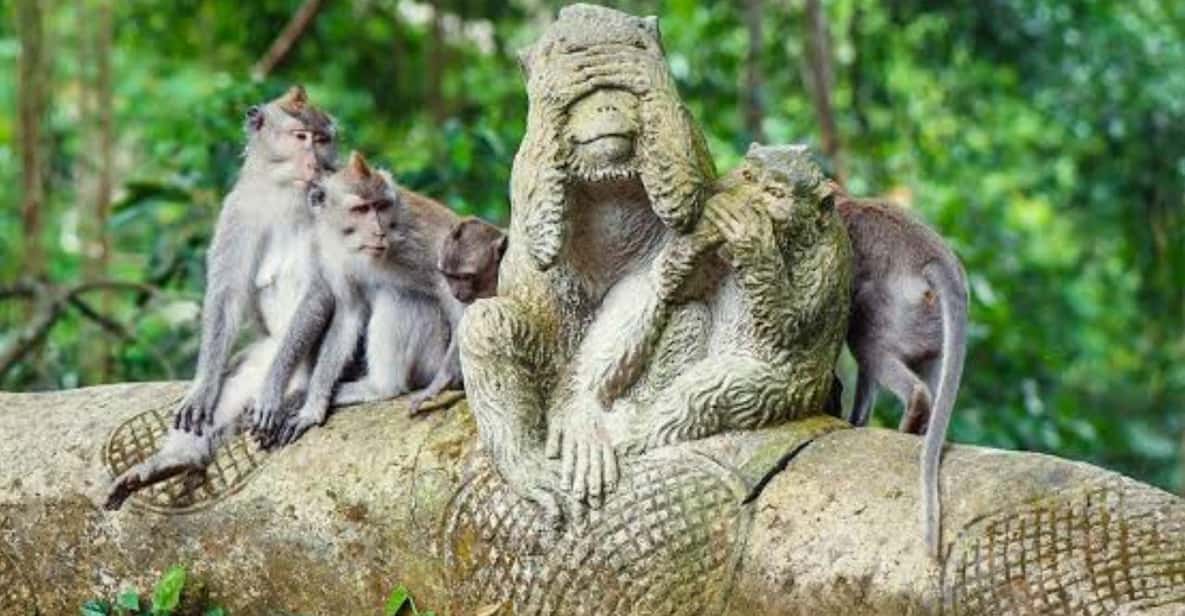 Bali ubud : forêt de singes, cascade, temple | GetYourGuide