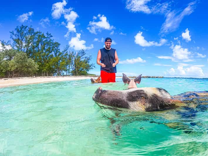 Nassau: Sun Cay and Swimming Pigs Boat Trip with Lunch | GetYourGuide
