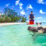 Nassau: Sun Cay and Swimming Pigs Boat Trip with Lunch | GetYourGuide