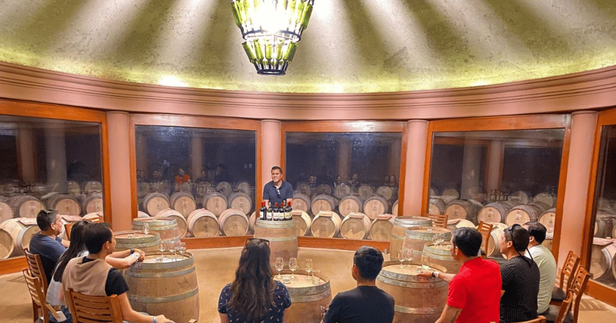 Visita Bodega Tacama - Tour Don Manuel con Cata | GetYourGuide