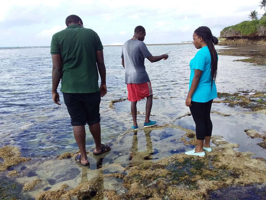 African Pool: Tiwi-Diani Beach Sunset boat ride & Reef Tour | GetYourGuide