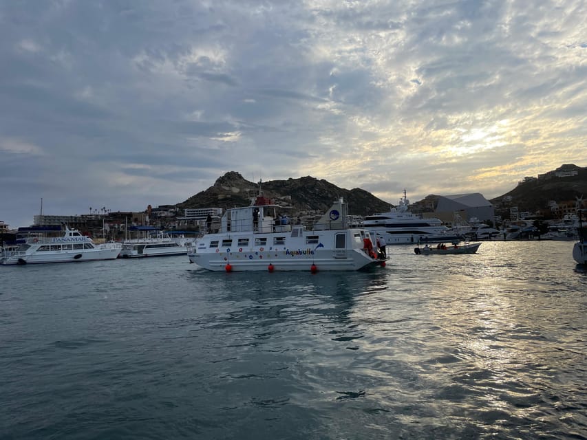 Underwater Exploration Tour & Ocean Sighting Tour | GetYourGuide