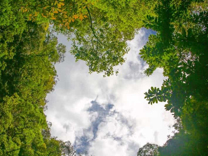 Phuket: James Bond Island Canoeing 7 Point 5 Island Day Trip | GetYourGuide
