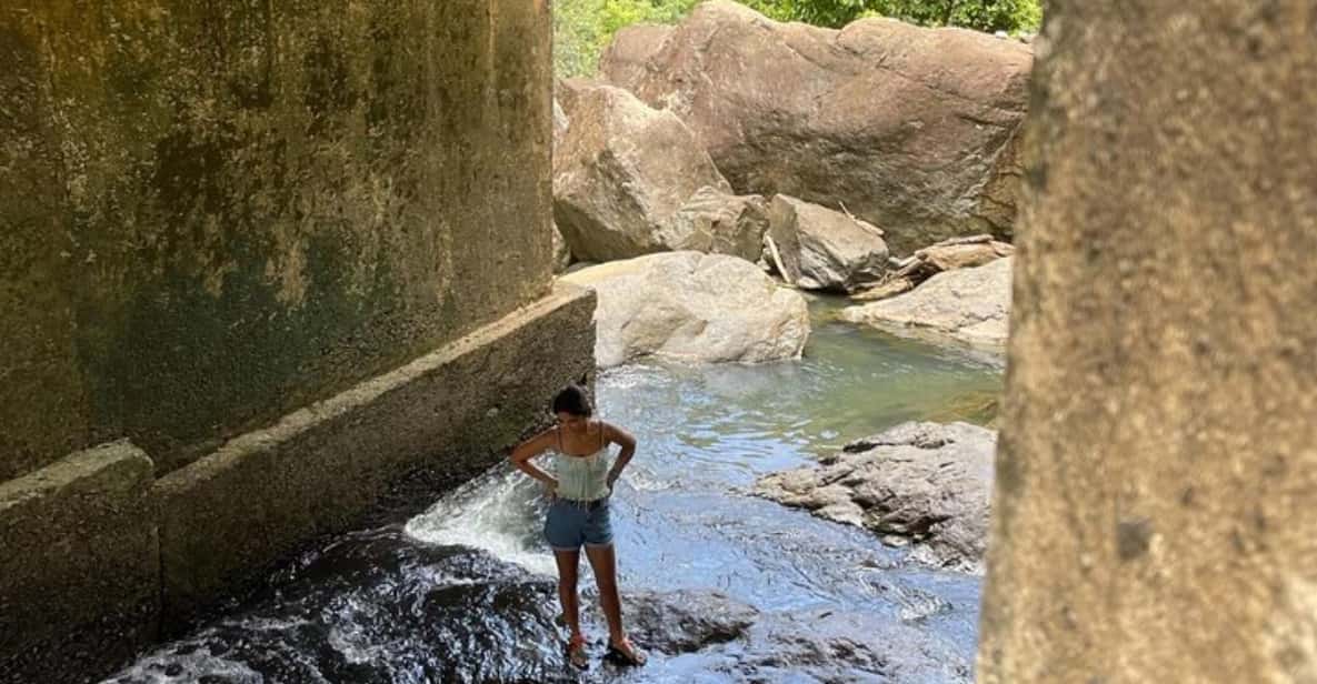 San Juan: Waterfall Hike in El Yunque Rainforest | GetYourGuide