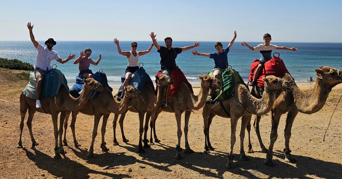 Privat dagsutflykt: Gibraltar & (Tanger) Marocko från Sevilla ...