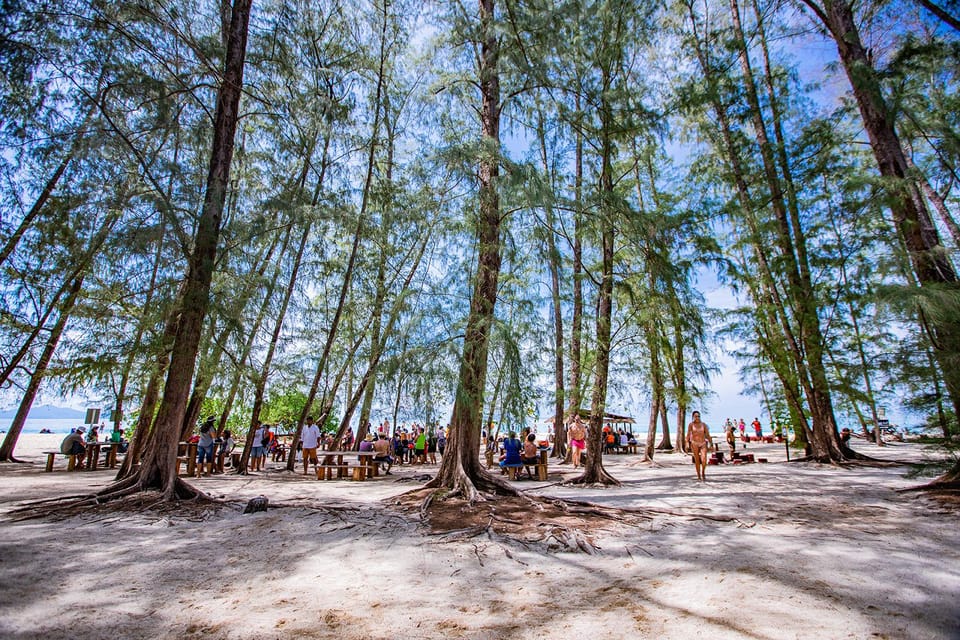 Desde Khao Lak Excursión de un día a las Islas Bambú y Phi Phi, y a la ...