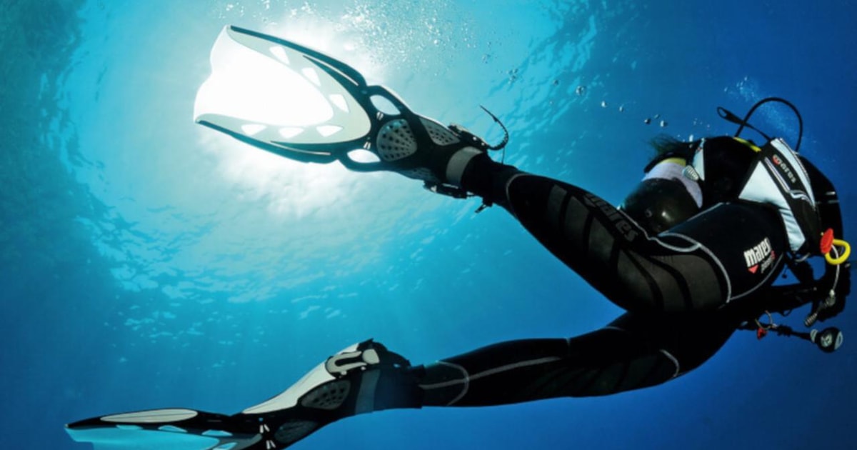 Funchal: Scuba Diving Experience for Beginners | GetYourGuide