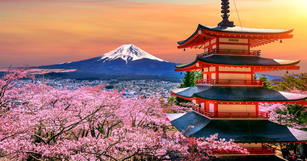 Tokio: Mt. Fuji und Hakone Tour mit englischsprachigem Fahrer ...