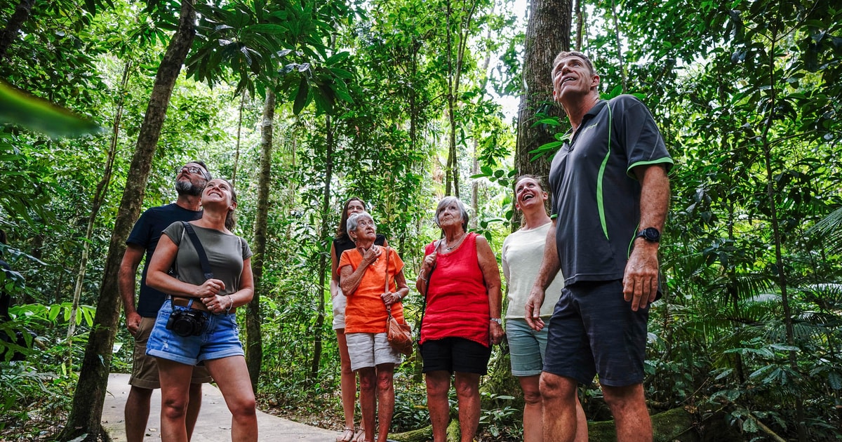 From Port Douglas: Small Group Total Daintree Experience | GetYourGuide