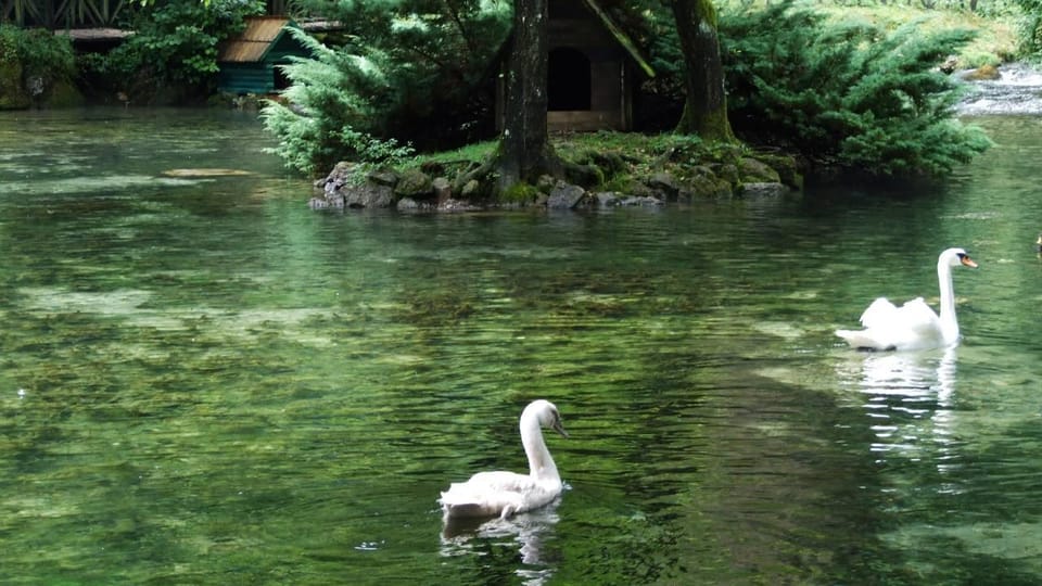 Bijambare Cave & Bosnia Spring Park: Tour from Sarajevo | GetYourGuide