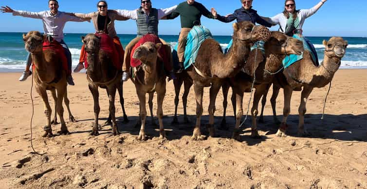 Sunset with Camel ride in Tangier ends with walking tour | GetYourGuide