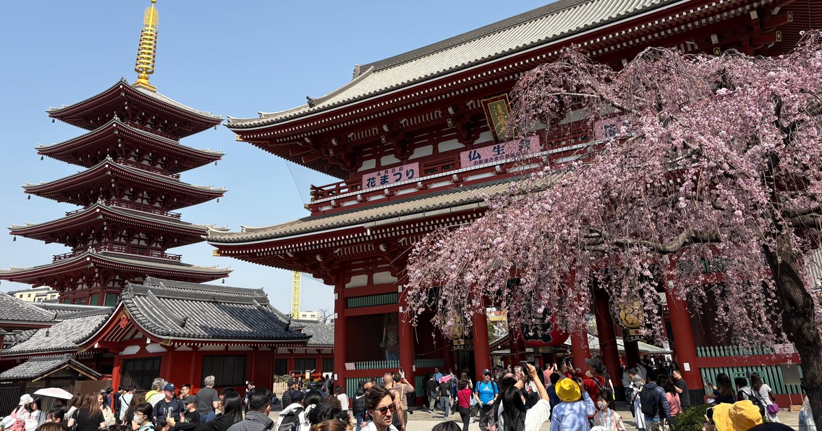 Tokio: 1-daagse privétour per auto met een Japanse gids | GetYourGuide