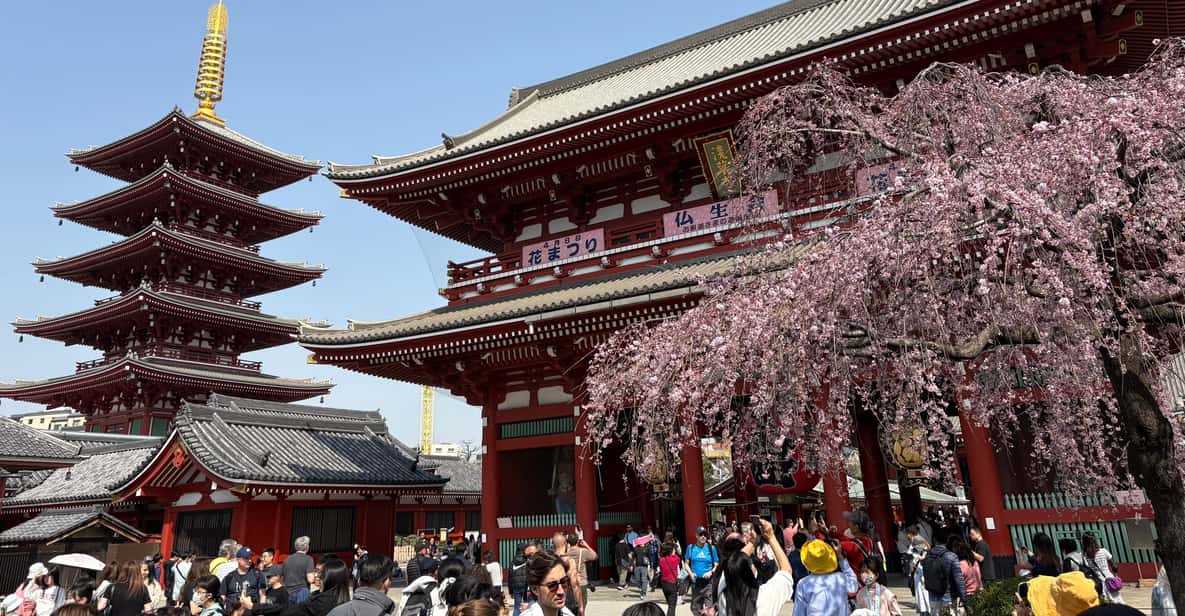 Tokio: Tour privado de 1 día con coche y guía experto | GetYourGuide