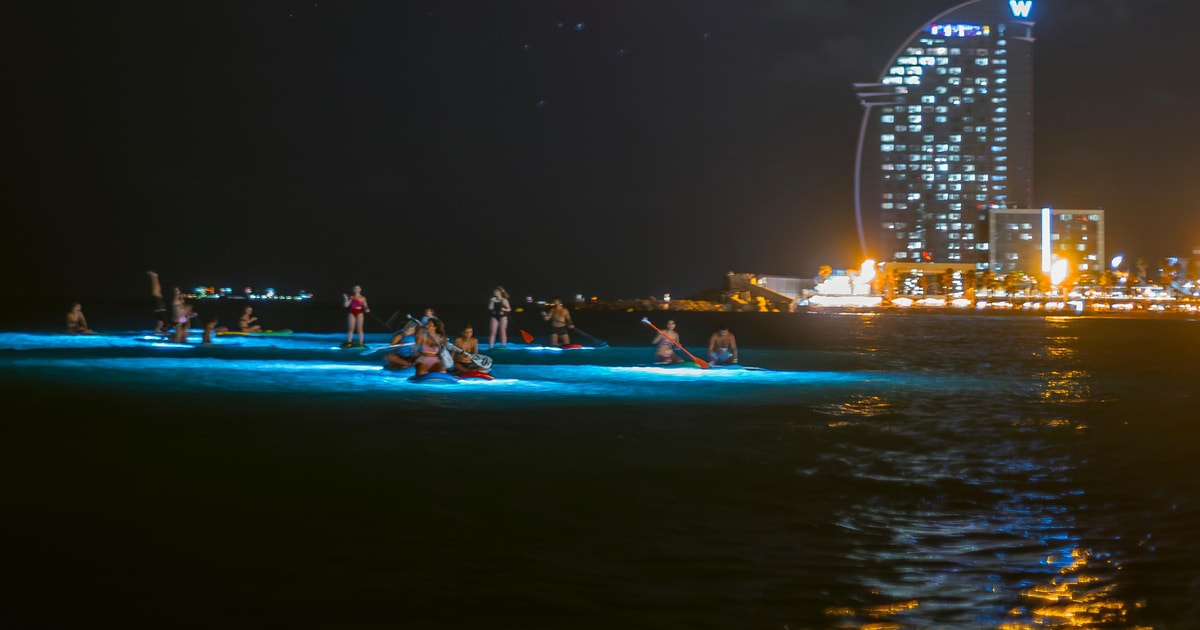planche de surf à pagaie de nuit avec lumière et boisson -FIREFLY ...