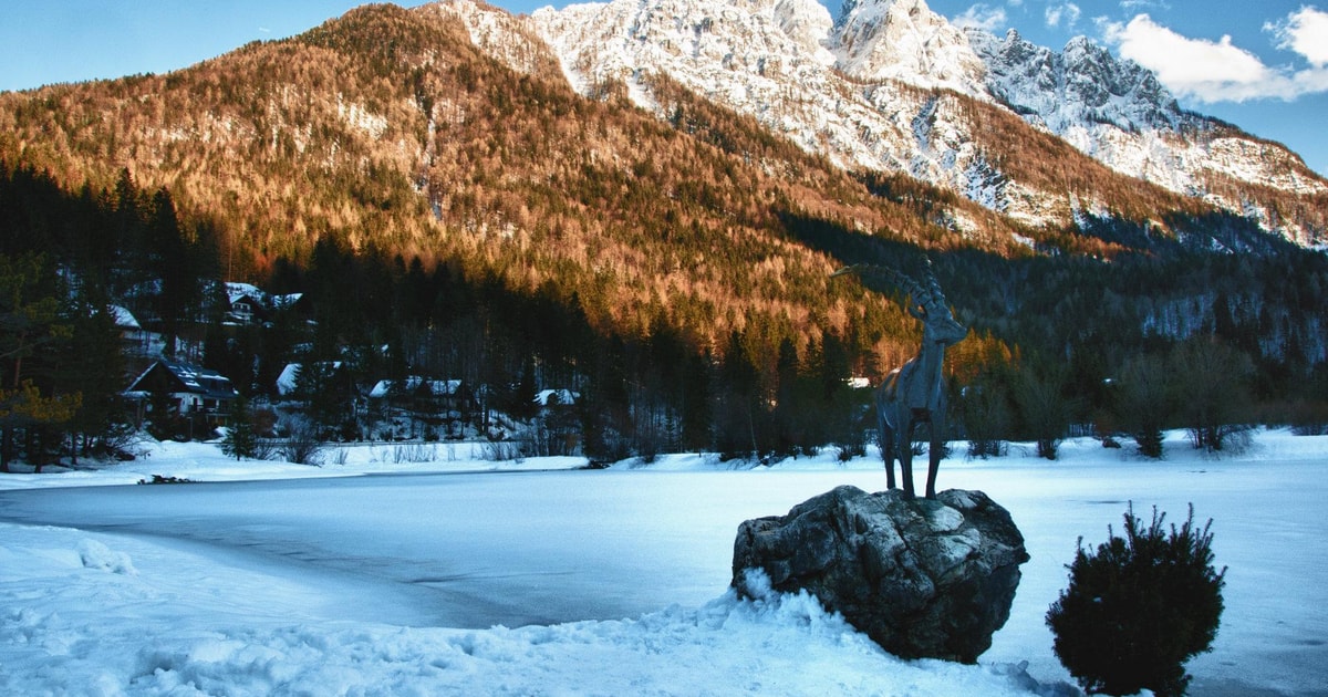 From Bled: Winter Triglav National Park Tour | GetYourGuide