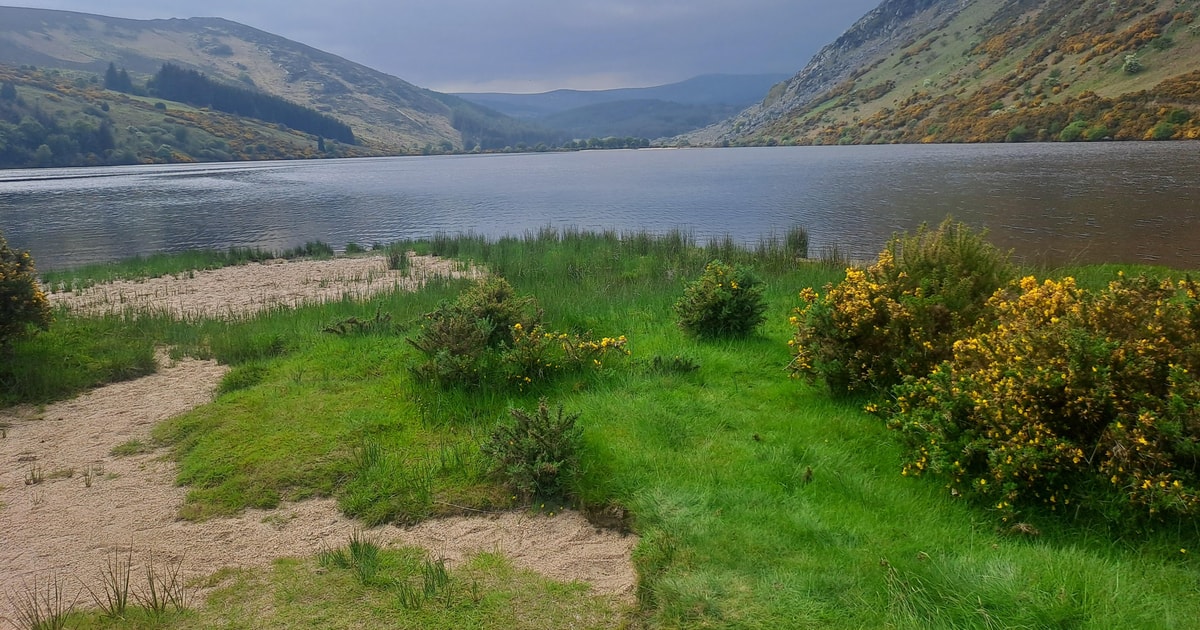 Day Car trip Explore Amazing County Wicklow , Dublin-Wicklow | GetYourGuide