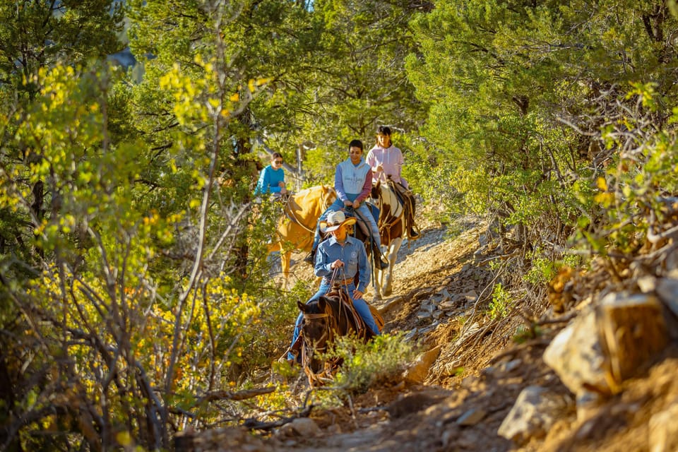 Orderville: Checkerboard Mesa Guided Sunset Horseback Ride | GetYourGuide