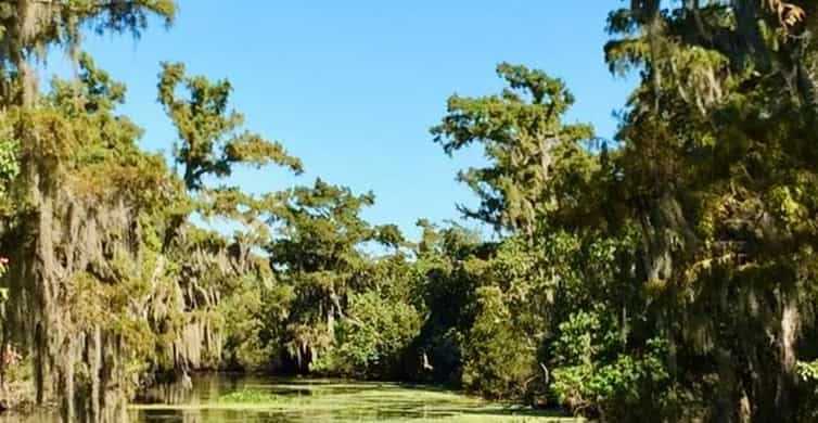 New Orleans: Airboat Swamp & City and Katrina Tour Combo | GetYourGuide