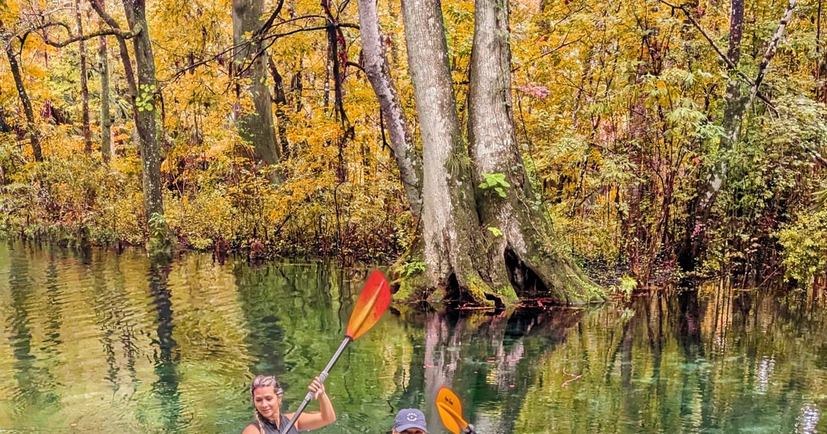 Silver Springs: aventura en kayak y paddle surf por la selva | GetYourGuide