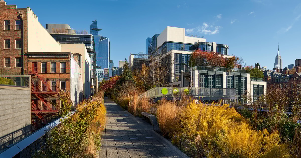 NYC: Hudson Yards & High Line Tour with Optional Edge Ticket | GetYourGuide