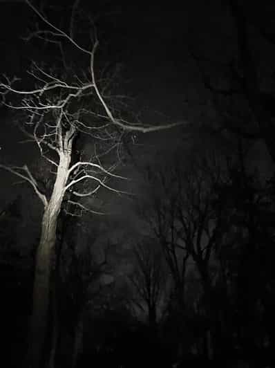 Haunted Mountain Ghost Walking Tour | GetYourGuide