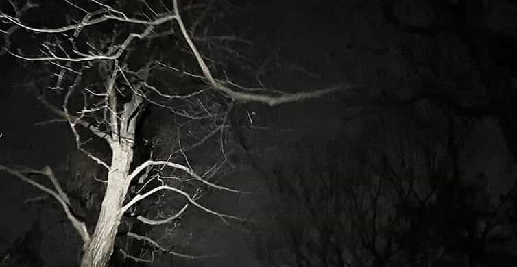 Haunted Mountain Ghost Walking Tour | GetYourGuide