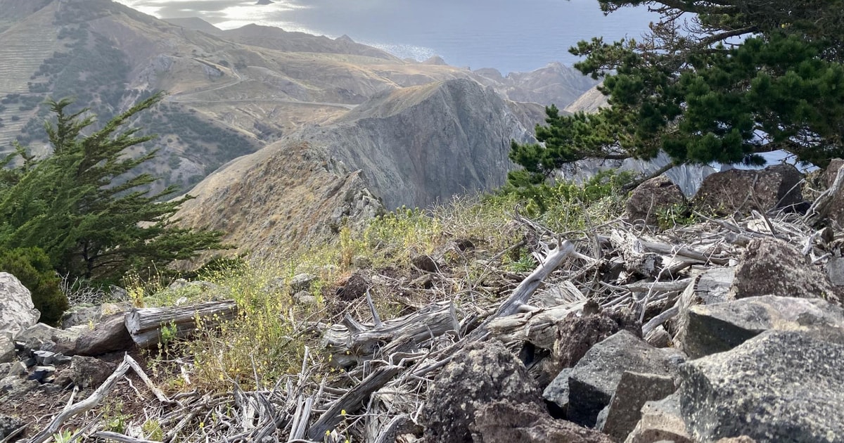 Porto Santo: excursión guiada por la montaña al Pico Branco y Terra Cha ...