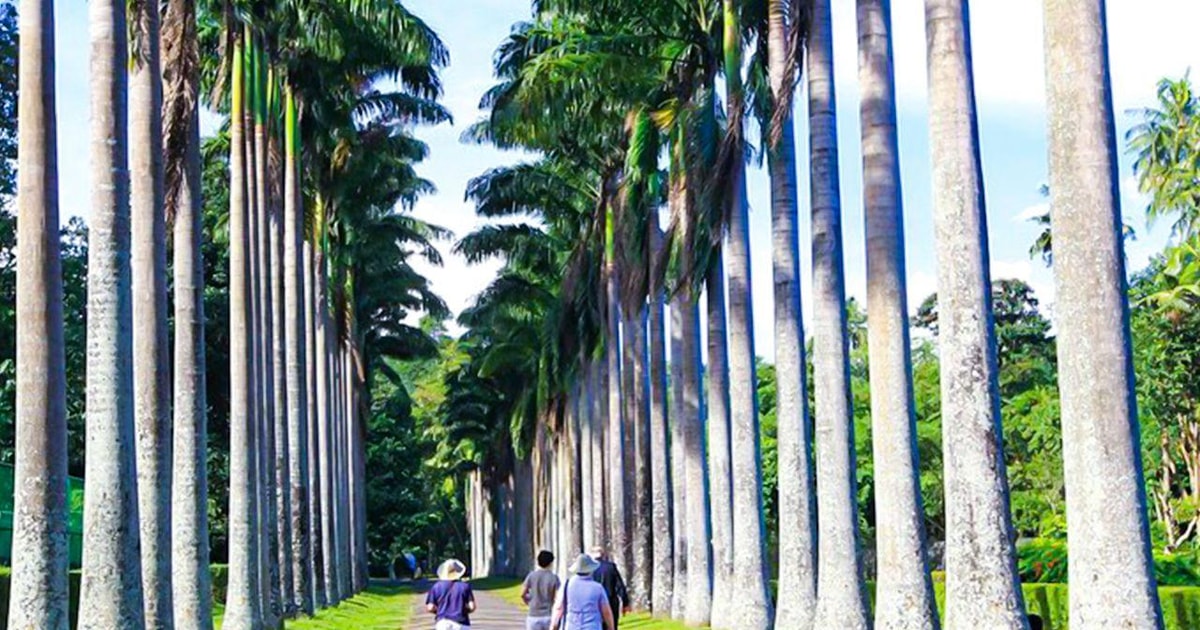 Vanuit Kandy: All-inclusive dagvullende tour in Kandy - privétour ...