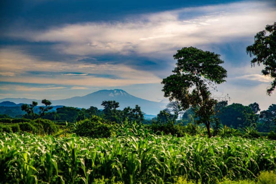 Arusha: Arusha National Park Day Tour | GetYourGuide