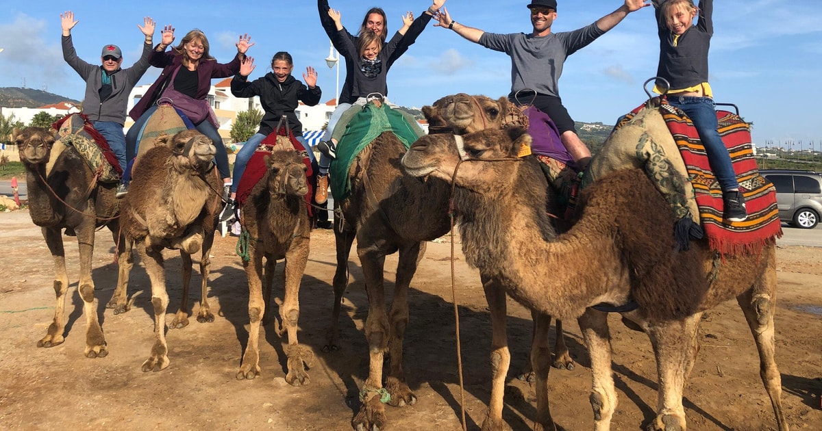 Camel Ride Experience with Tea & Dinner and Transfers | GetYourGuide