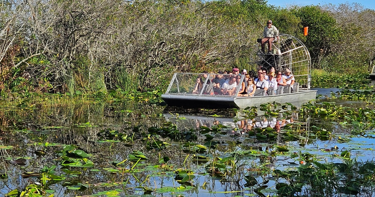 Everglades: boat tour with transportation& entrance included | GetYourGuide
