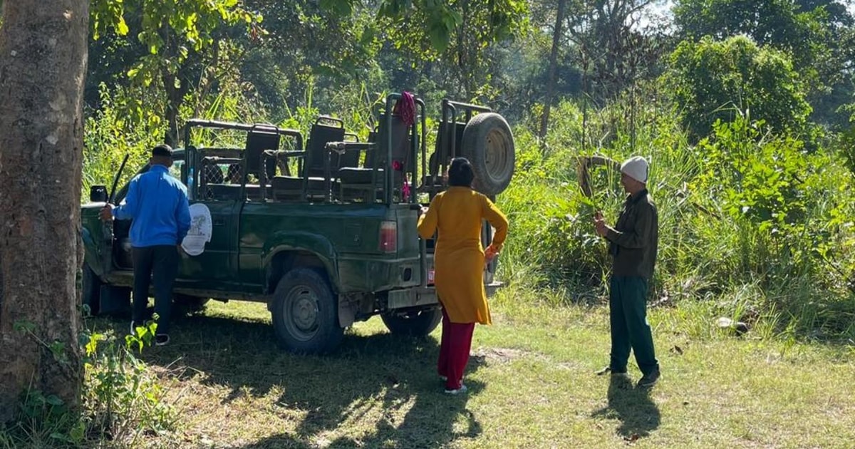 CHITWAN NATIONAL PARK FULL DAY PRIVATE JEEP SAFARI FROM MADI | GetYourGuide