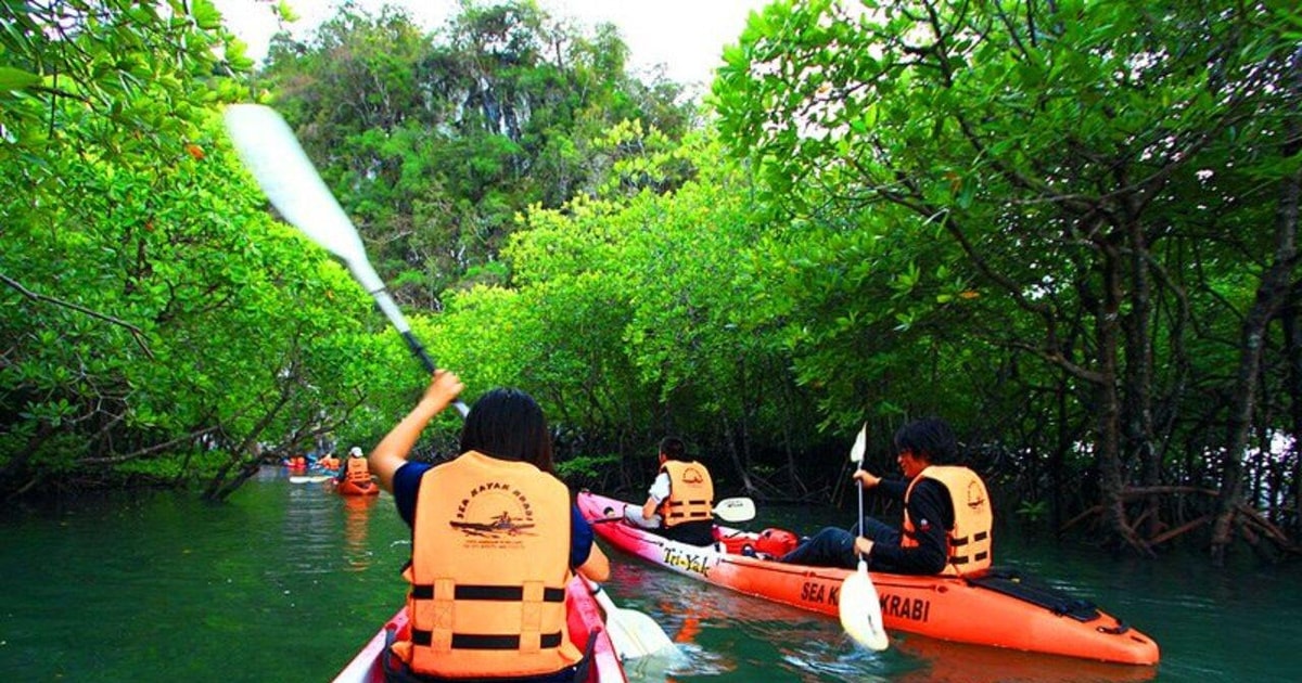 Krabi: Mangrove Kayak Adventure in Boh Tor, Ao Luek | GetYourGuide