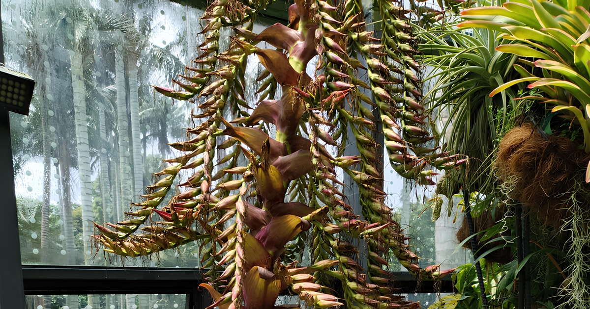 Bogotá: Tropicarium and Botanical Garden Tour | GetYourGuide