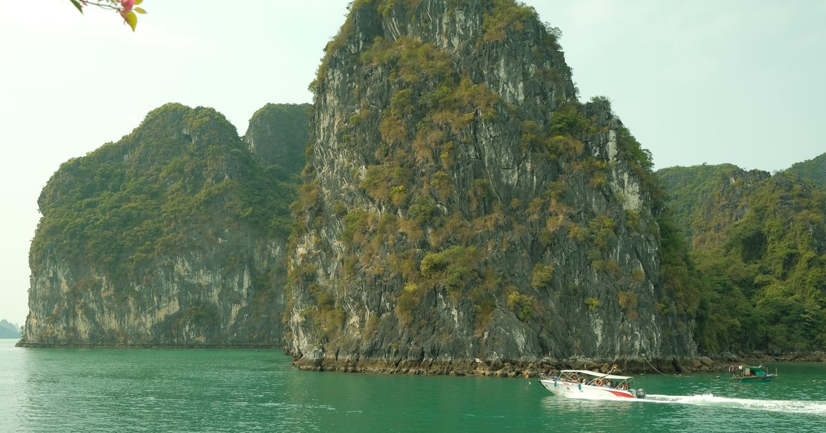 Scopri le meraviglie della baia di Ha Long con una crociera di un ...