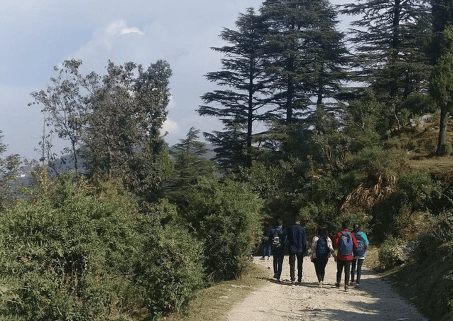Paseo por la Naturaleza de Mussoorie (2 Horas de Paseo Guiado ...