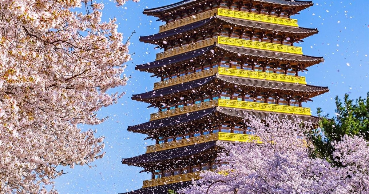 Fra Busan: Gyeongju Cherry Blossom Day Tour Spring Special | GetYourGuide
