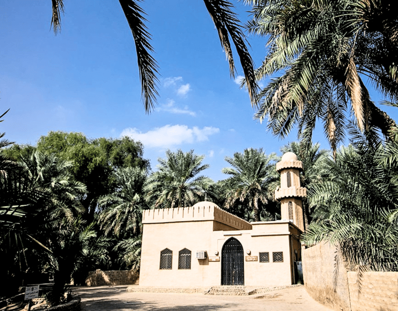 Al Ain City Tour , Fully Guided Tour | GetYourGuide