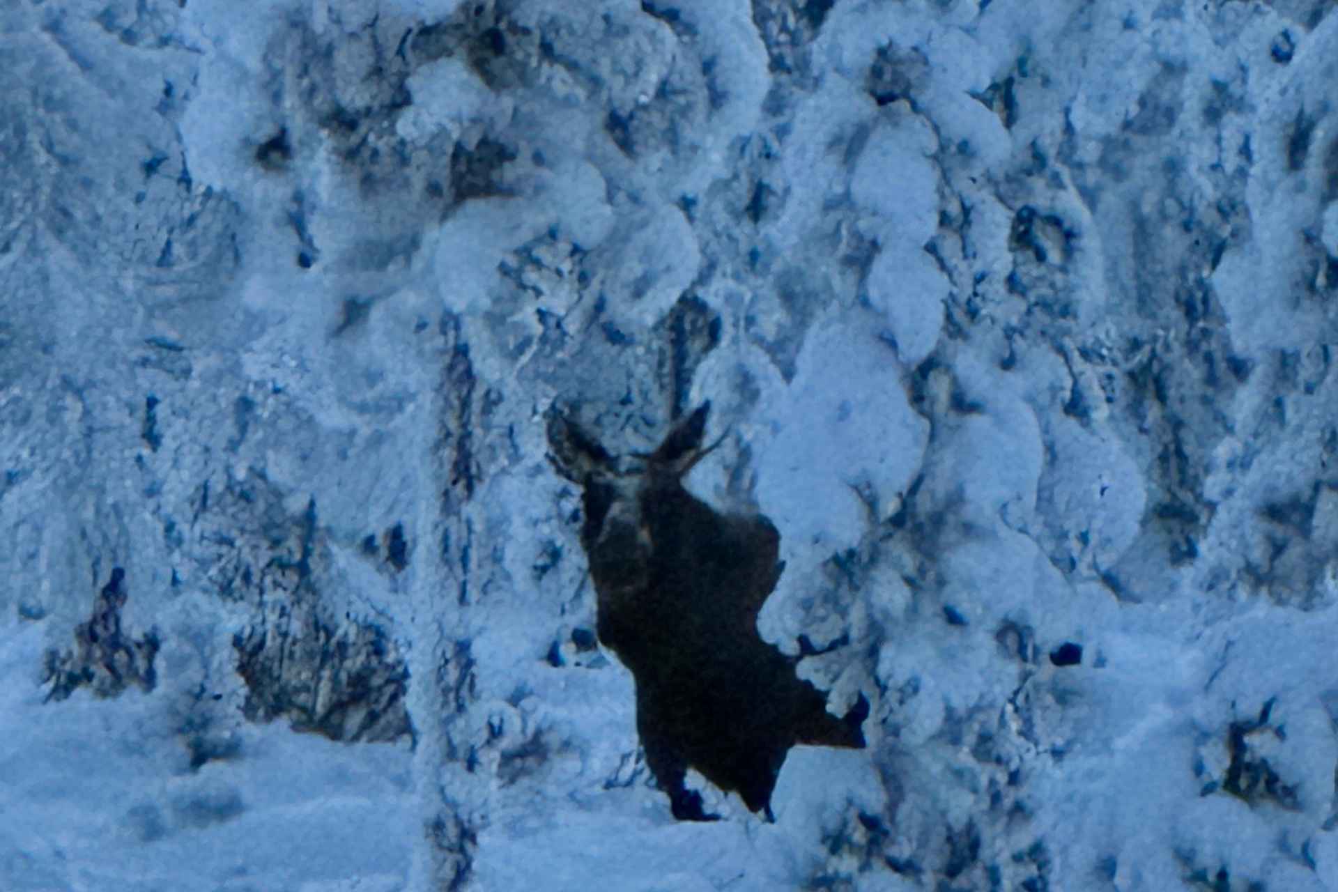 Kiruna: Guided Snowmobile Tour and Swedish Fika Experience | Guide to Europe