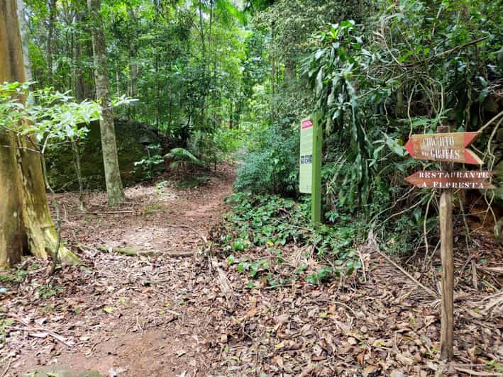 Tijuca Forest´s hike: caves, waterfalls and great views | GetYourGuide