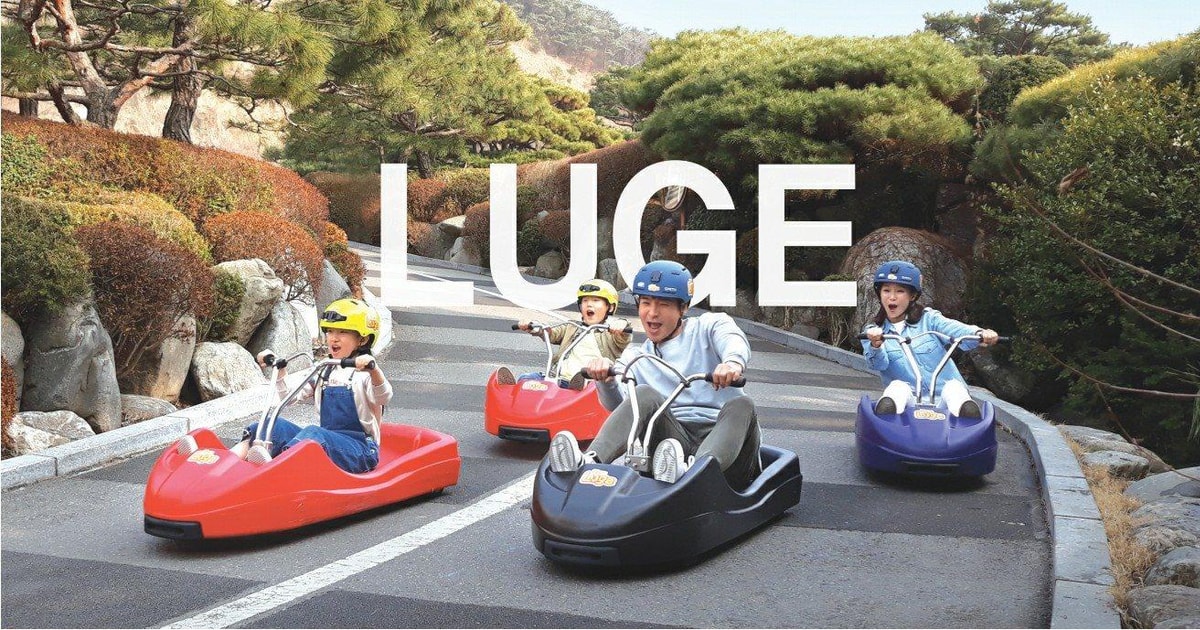 Incheon Private Tour | Luge / Honey Rice cake / Amoene cafe | GetYourGuide