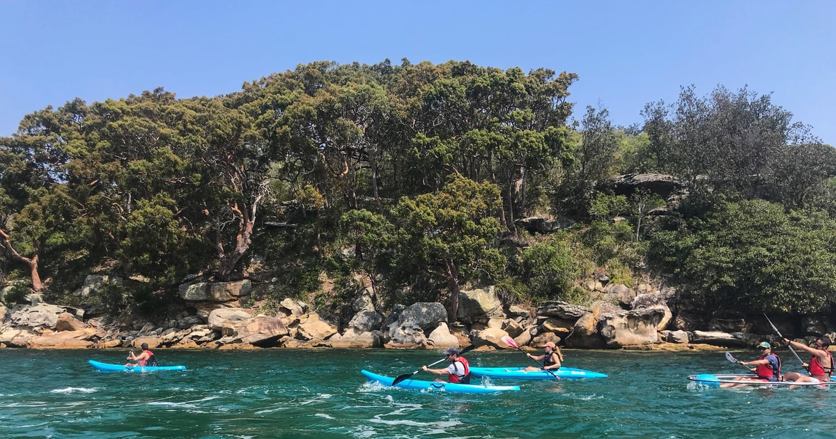 Sydney : Visite guidée en kayak des plages de Manly Cove | GetYourGuide