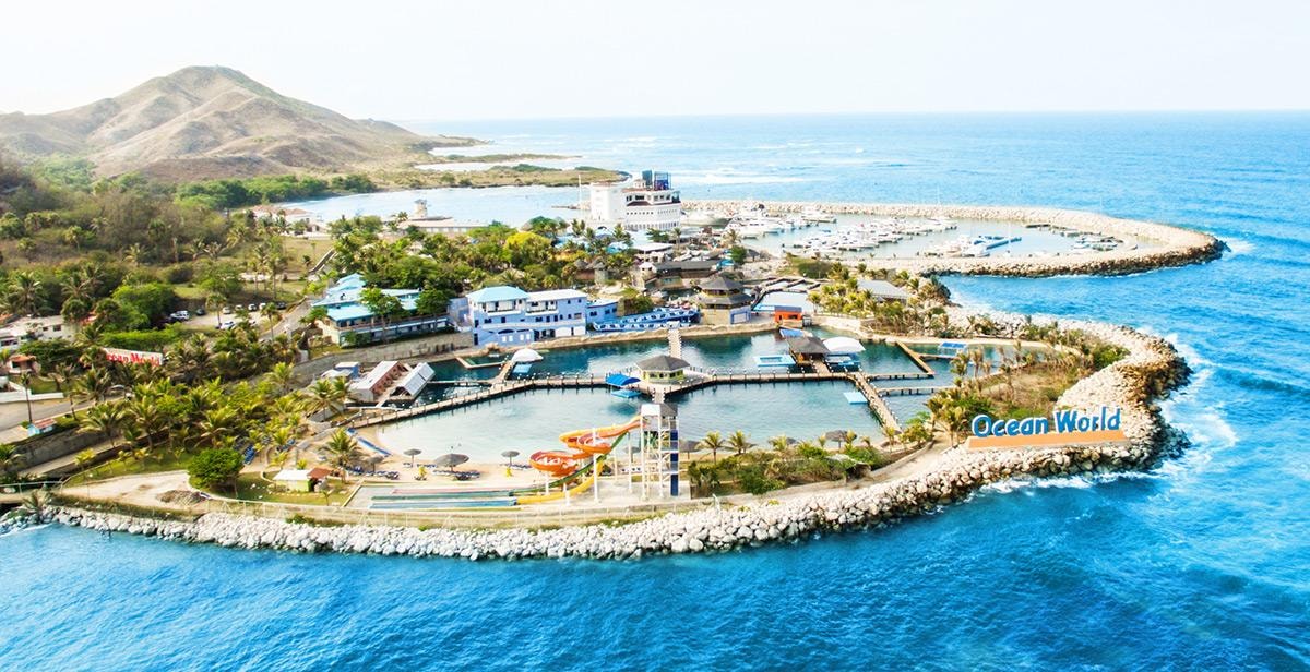 Pasadía en Ocean World para Residentes Dominicanos | GetYourGuide