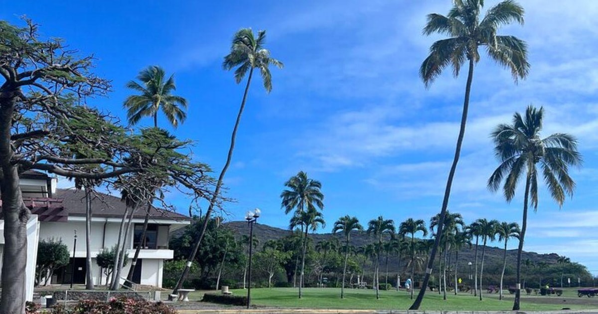 Oahu: Half Circle Island Tour with Local Guide | GetYourGuide