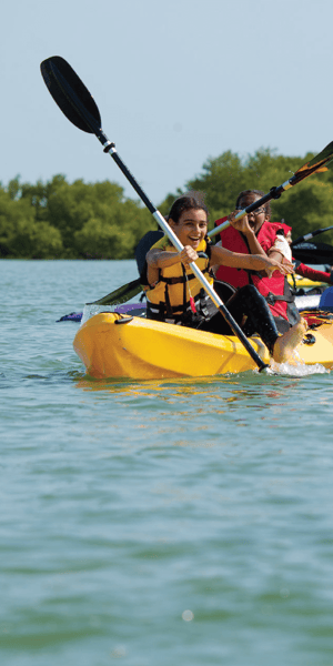Doha: Private Purple Island Mangroves Kayaking Adventure | GetYourGuide