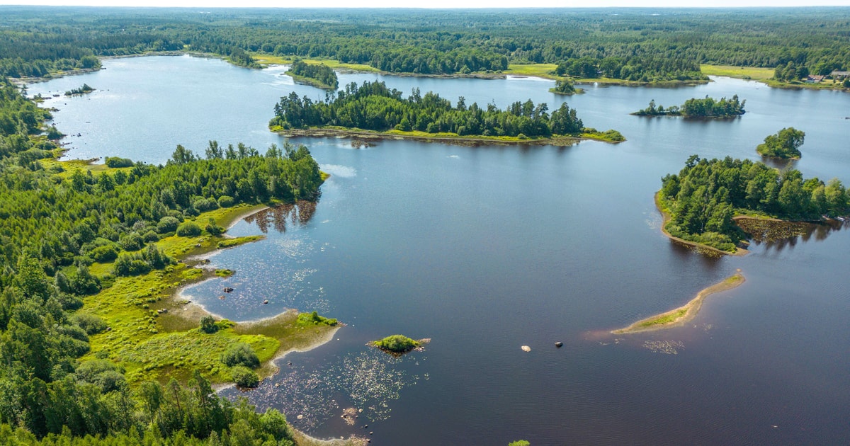 Agunnaryd: Canoe Adventure in Swedish Rivers and Lakes | GetYourGuide